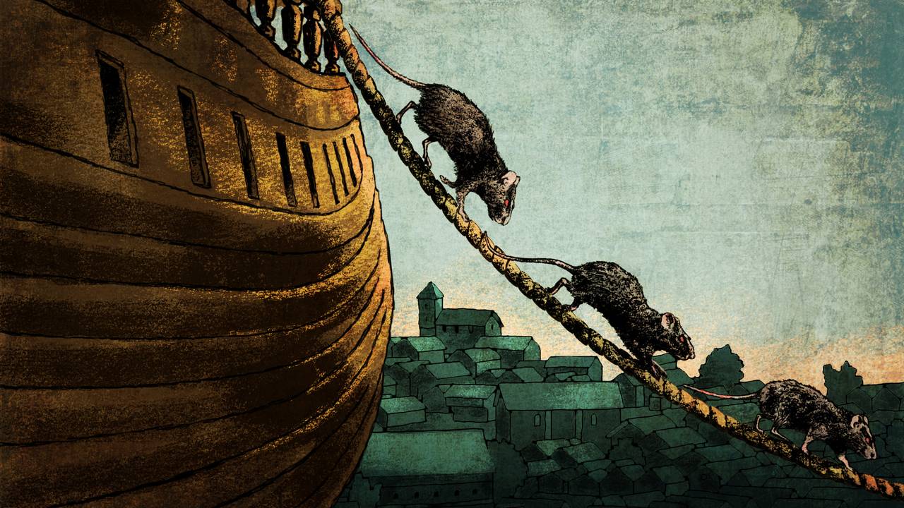 Dette kan vi lære av pesten svartedauden i 1349 – Langlesing fra NRK ...