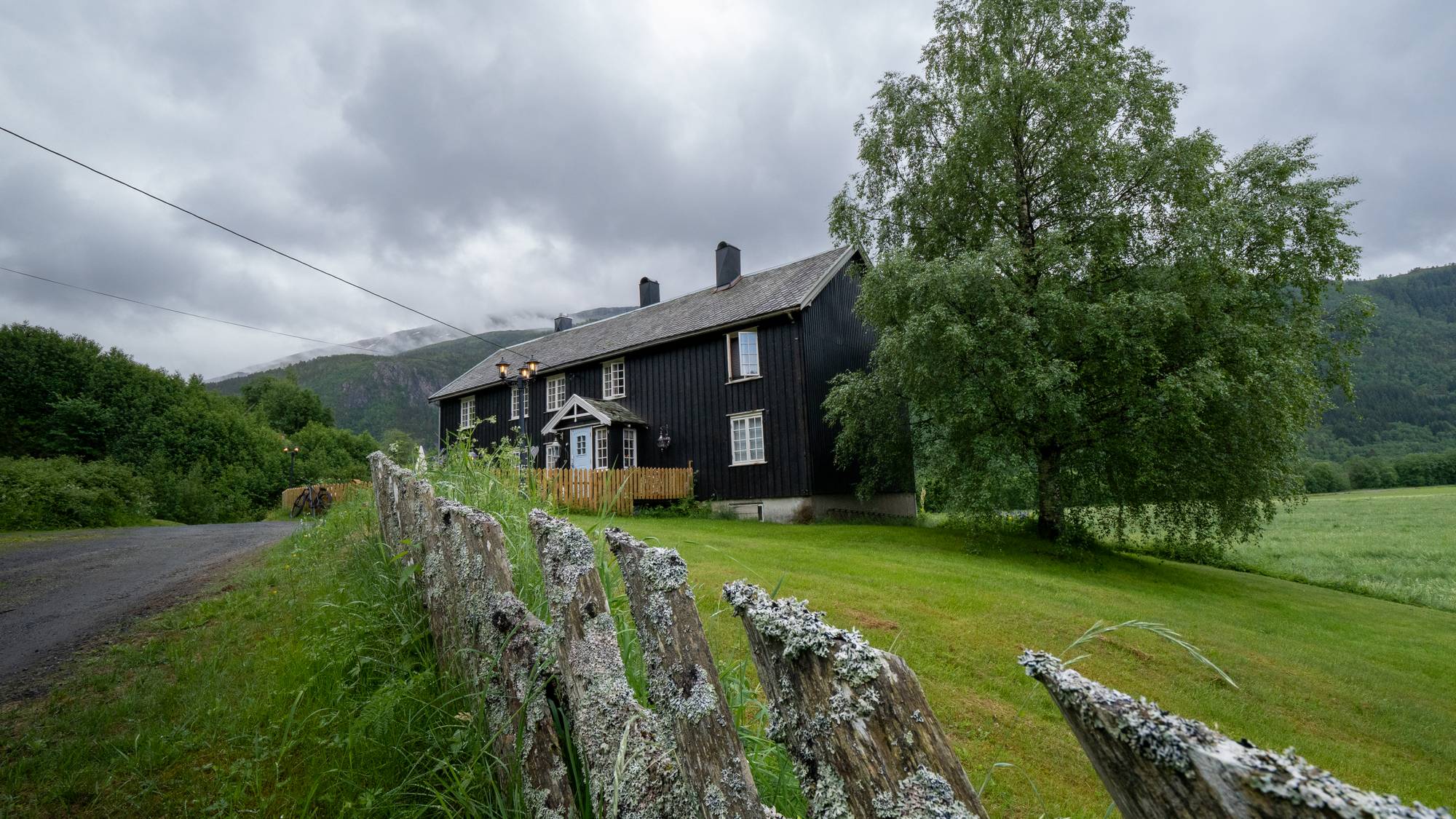 Linda Strand i Surnadal frikjend i Høgsterett etter å ha drukna mus i ...
