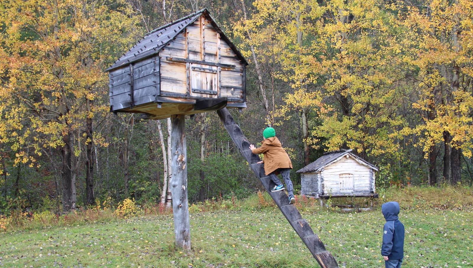 Pitesamisk museum er på beddingen – NRK Sápmi - samiske nyheter, kultur ...