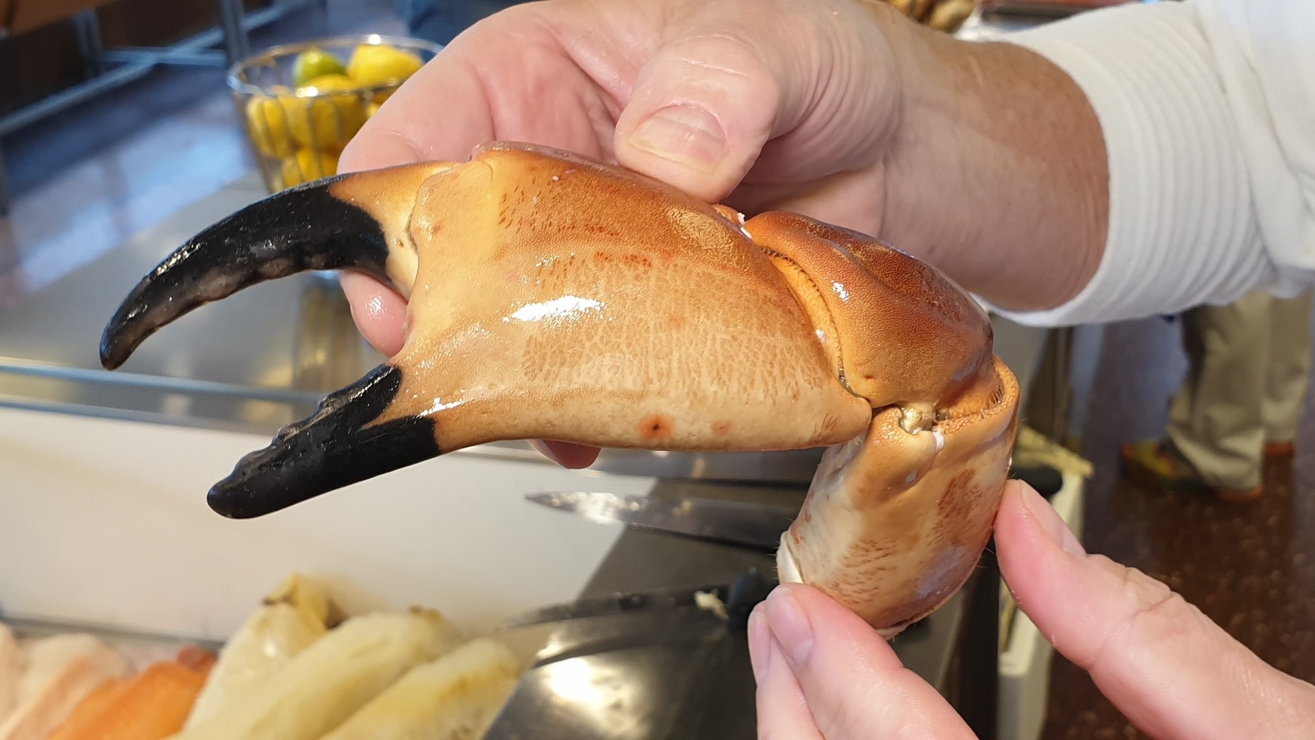 Slik åpner du en krabbeklo med en bordkniv – NRK