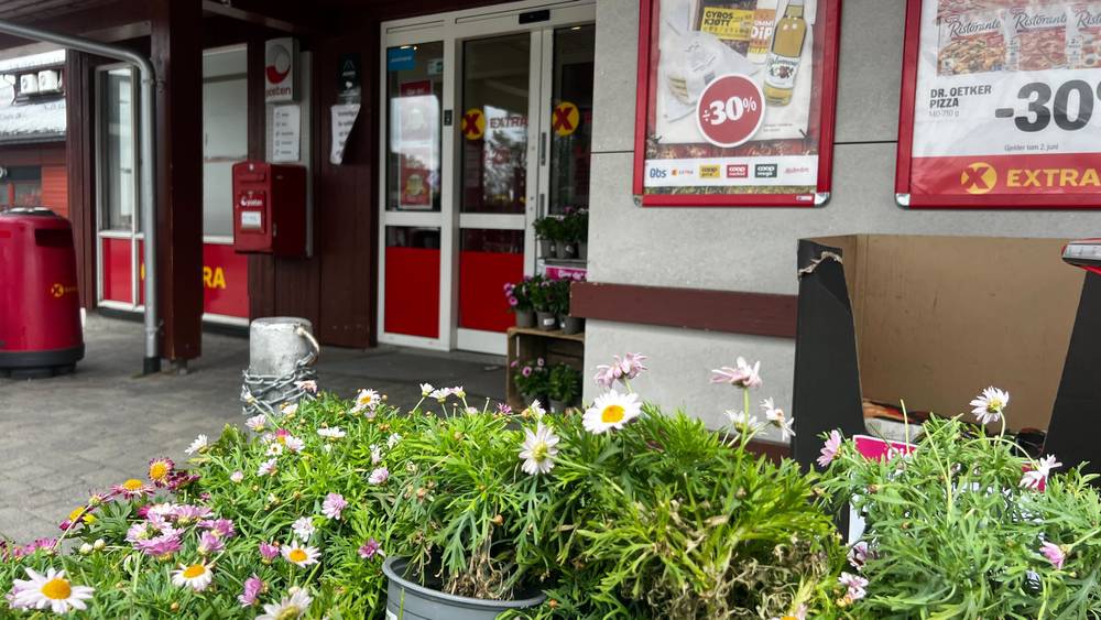 Skal ha drept hund og kastet den inn i matbutikk – NRK Sørlandet ...