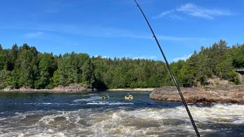 Varsellampene blinker ordentlig for laksefisket – NRK Vestfold og Telemark – Lokale nyheter, TV ...
