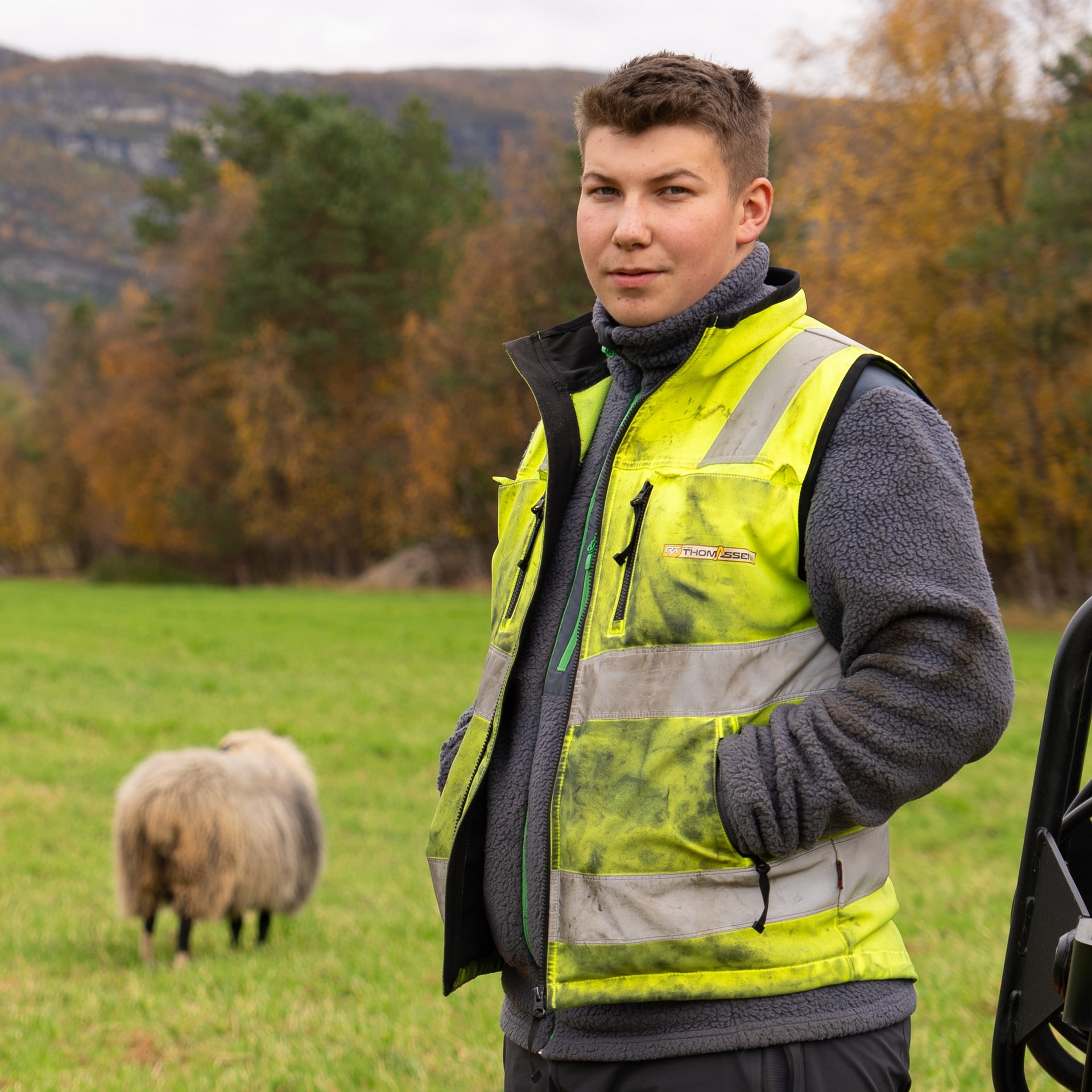 Tom Emil blir sauebonde – NRK