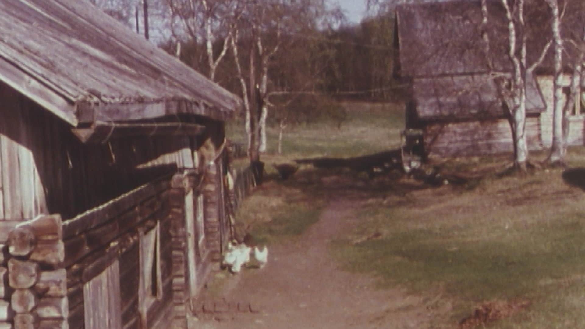 Vår, sommer og vinter i Pasvikdalen - NRK TV