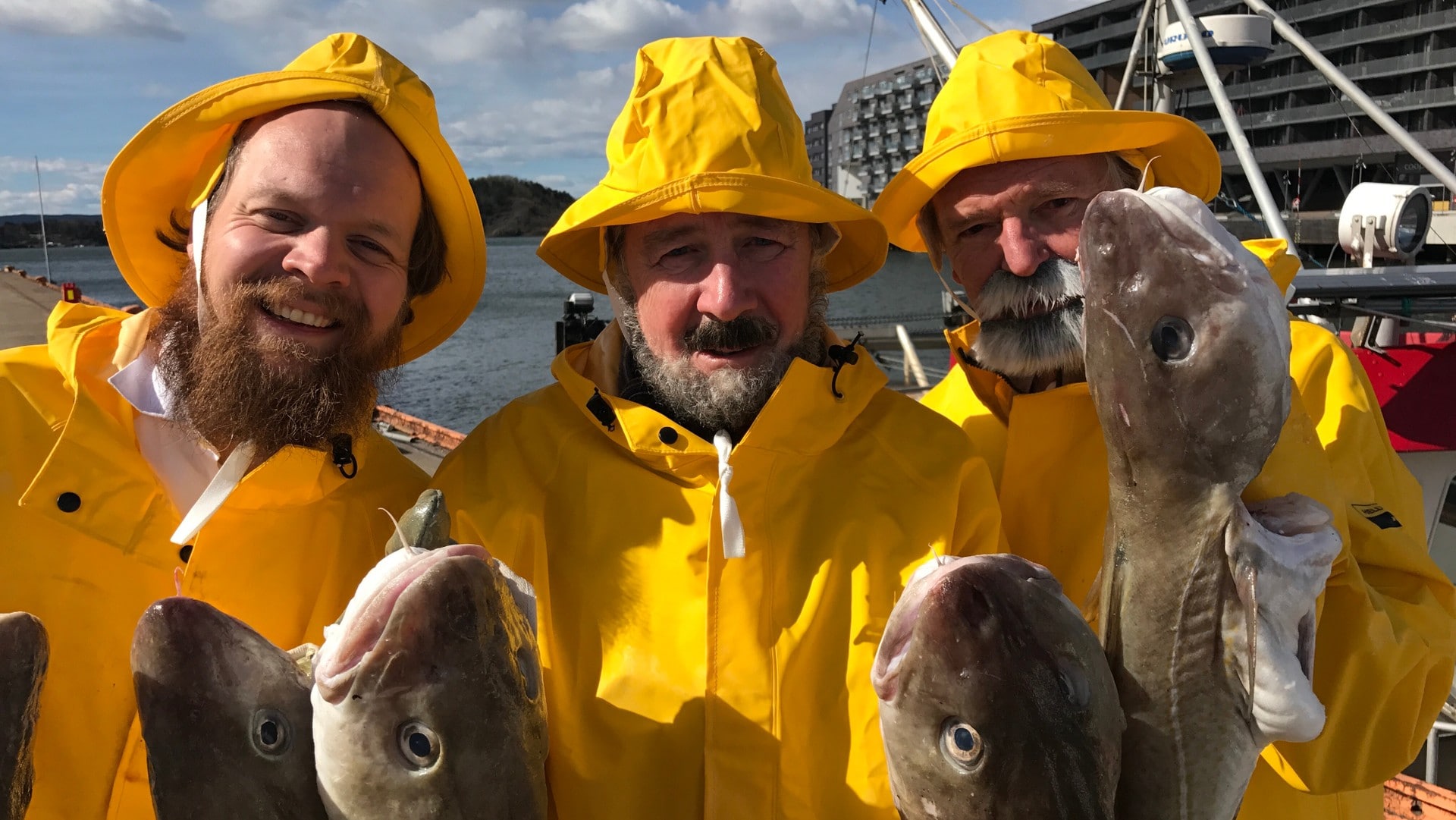 Nyinnspilling av "Se torsken" – NRK