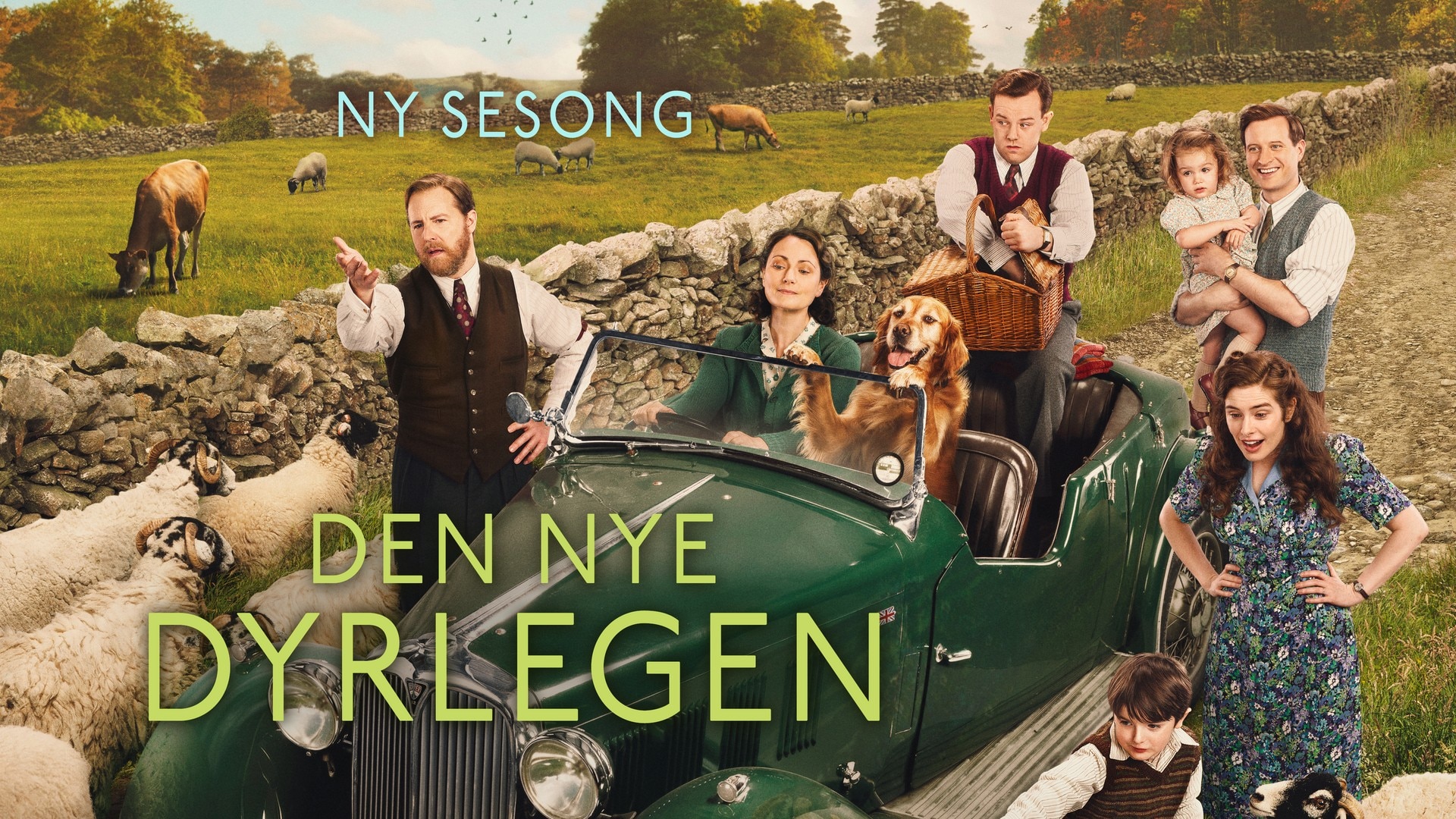 Den nye dyrlegen - NRK TV