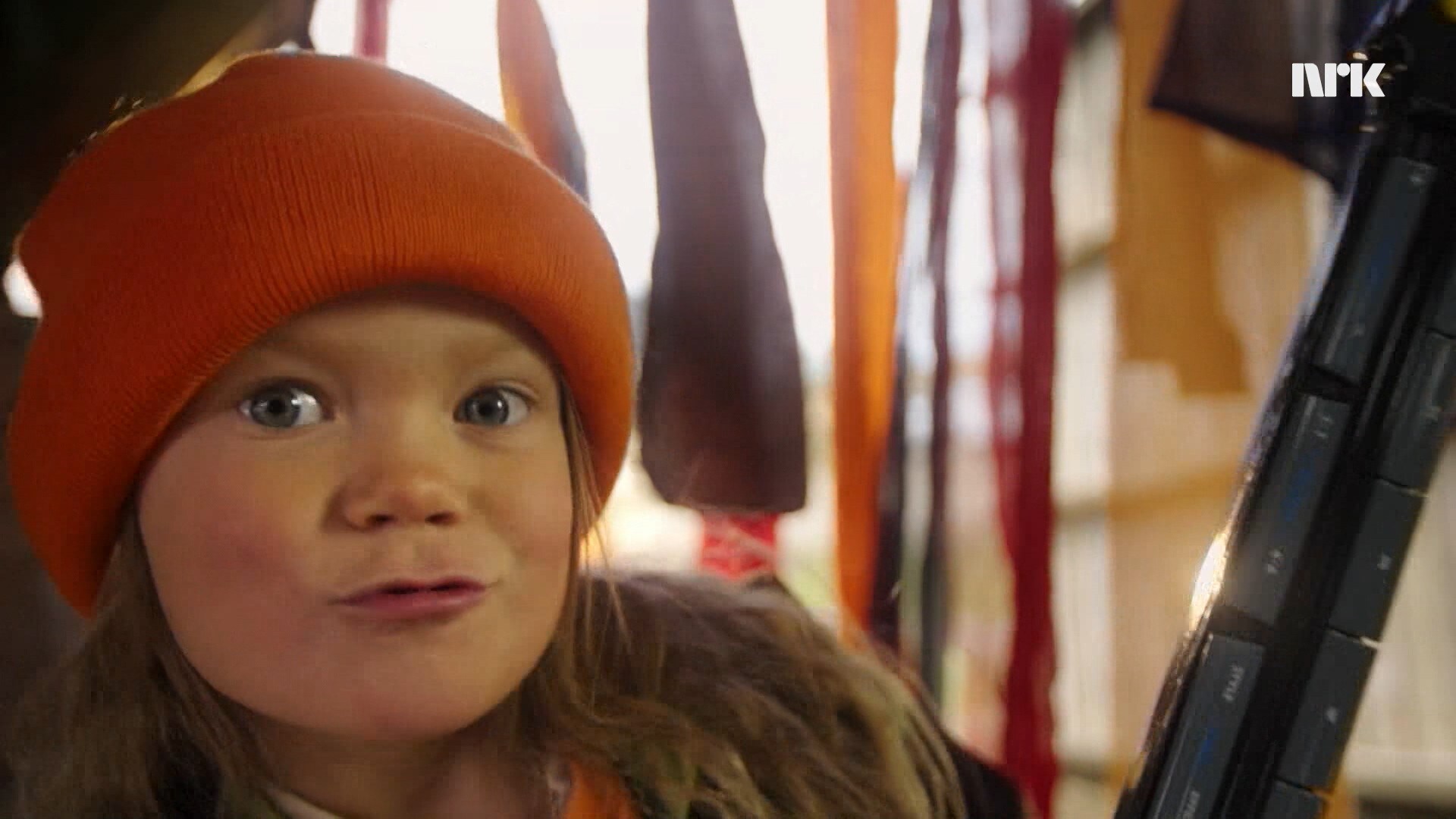 Slik var året i NRK Sápmi – NRK