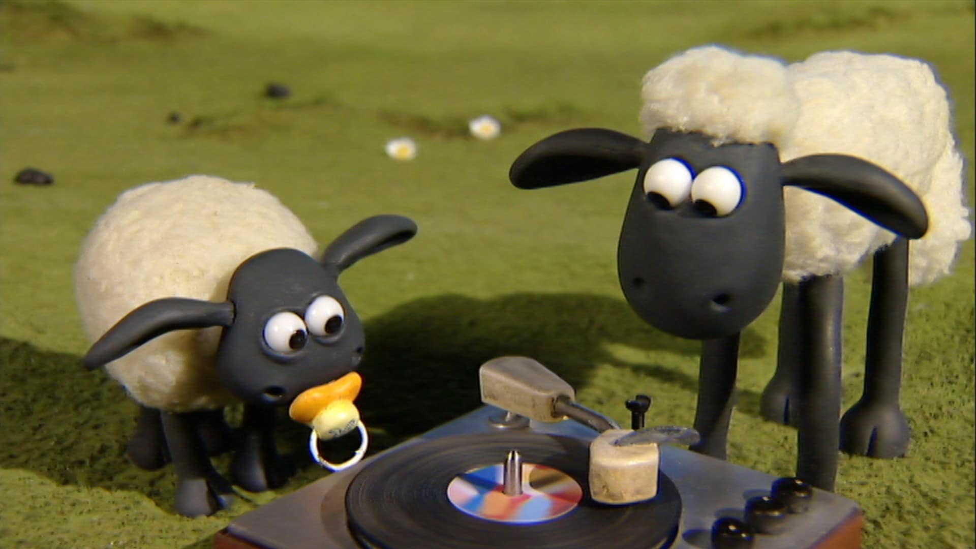 Sauen Shaun - NRK TV