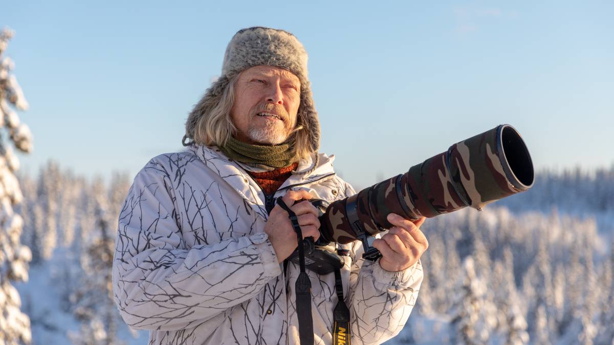 Fritidsfotografen imponerte Hellevik med spektakulære bilder av gaupe i ...