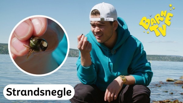 NRK Super - Barne-TV