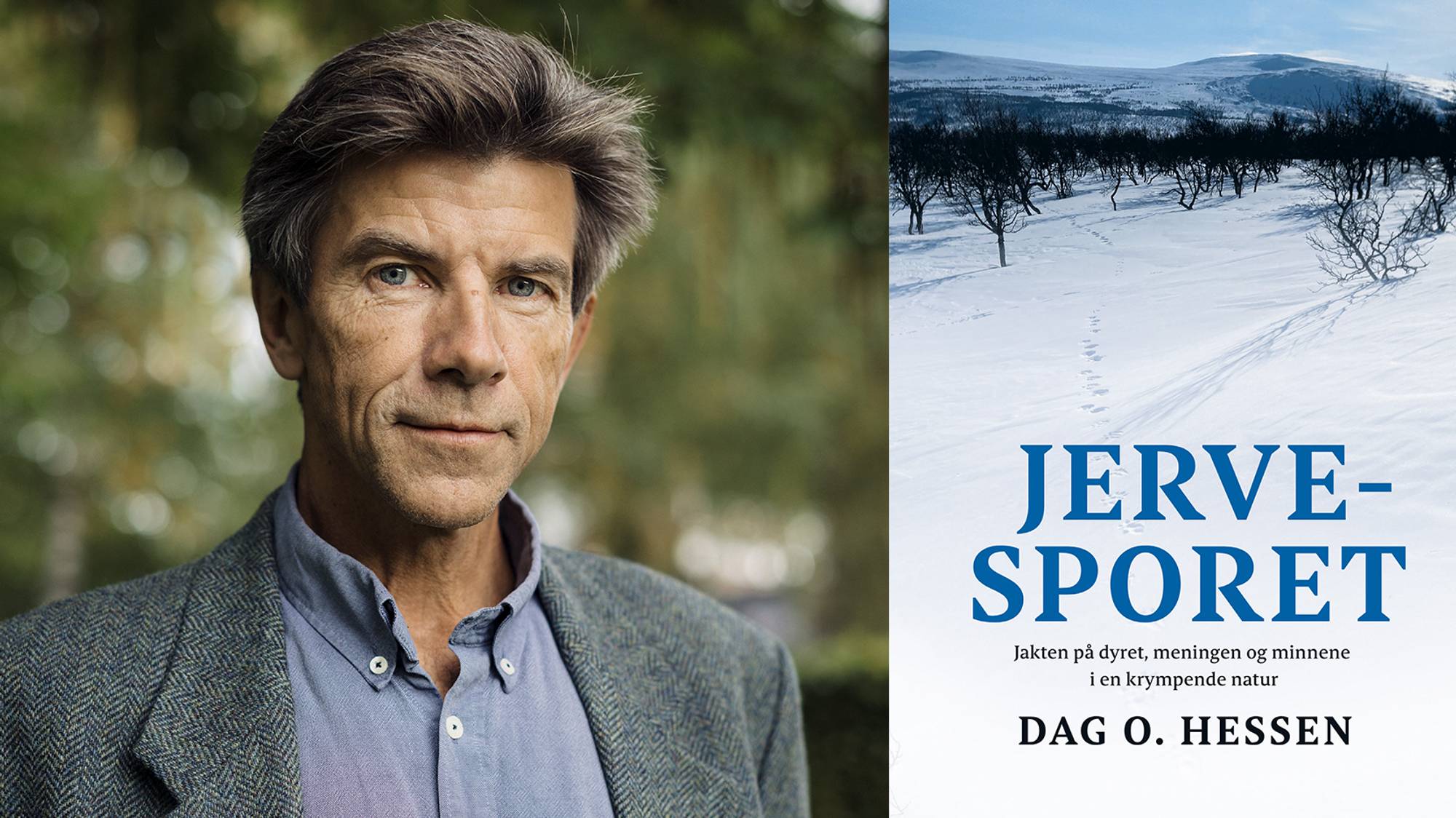Anmeldelse: «Jervesporet» av Dag O. Hessen – NRK Kultur og underholdning