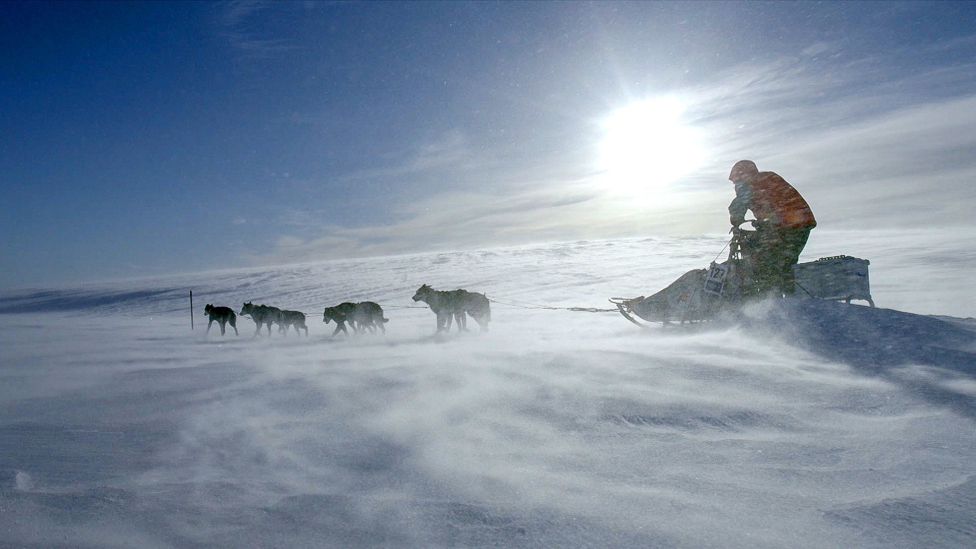 Monsen og hundene - NRK TV