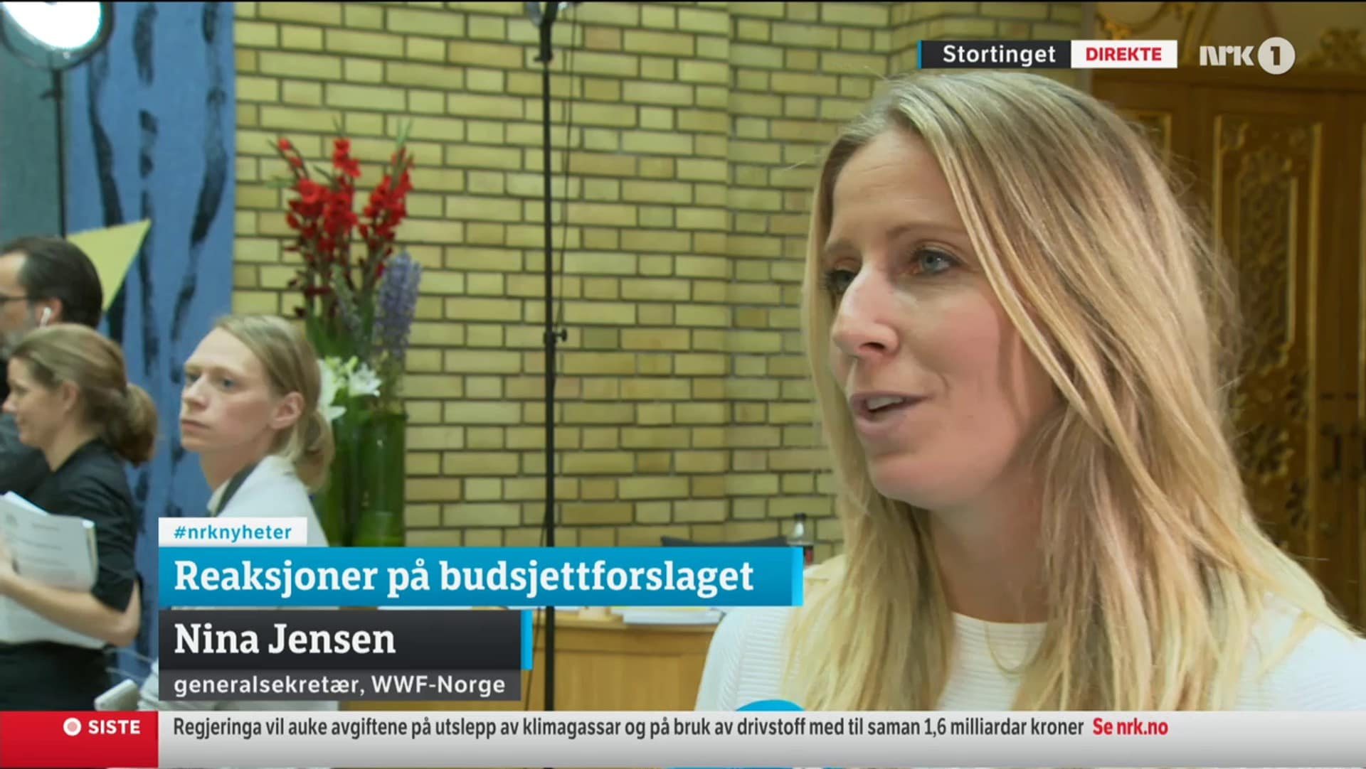 Nina Jensen fra WWF-Norge kritiserer budsjettet – NRK