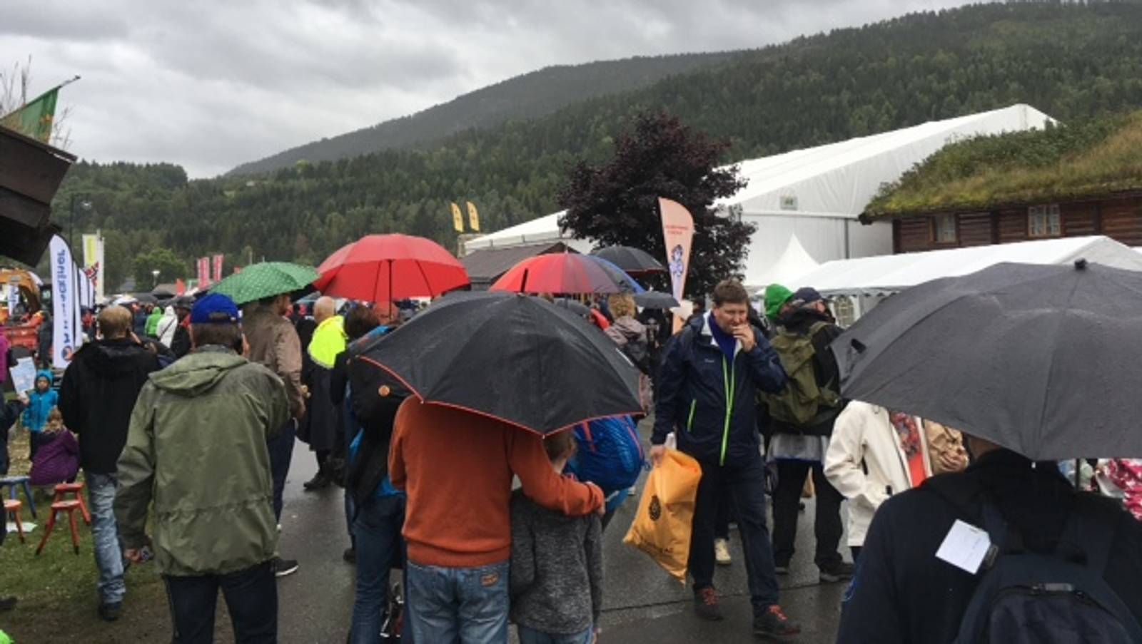 Trassar gråvêret for kyr og lokalmat – NRK Vestfold og Telemark ...