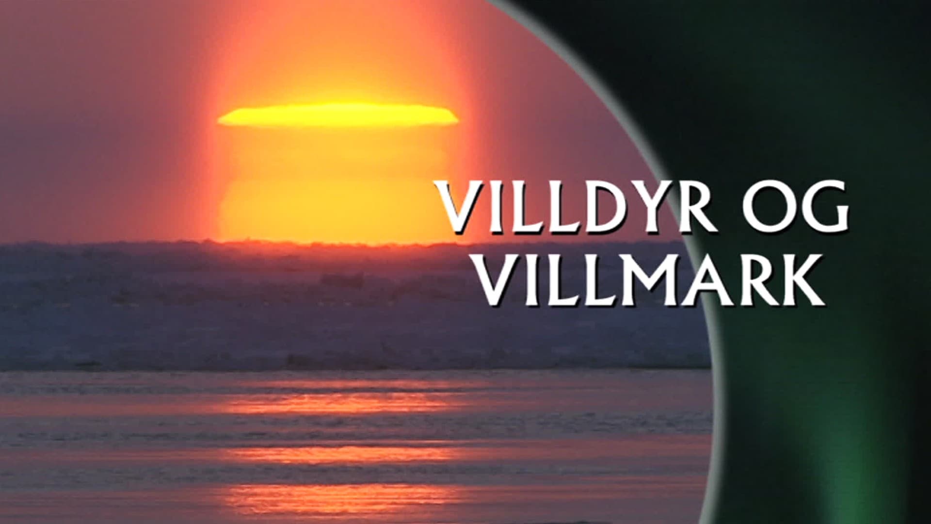 Villdyr og villmark - NRK TV