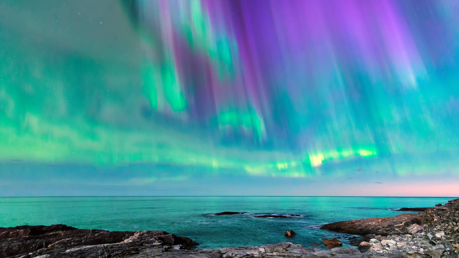 Hattifnatter samlet på høstfjellet – Yr