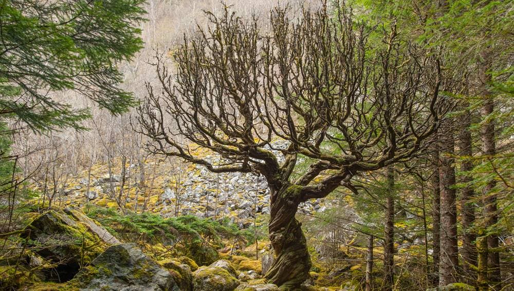 5 korte bøker spekket med kunnskap – NRK Kultur og underholdning