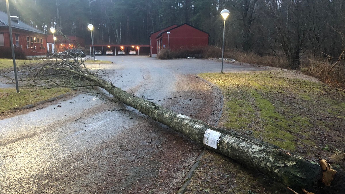 Mye Vind I Vestfold Og Telemark Nrk Vestfold Og Telemark Lokale