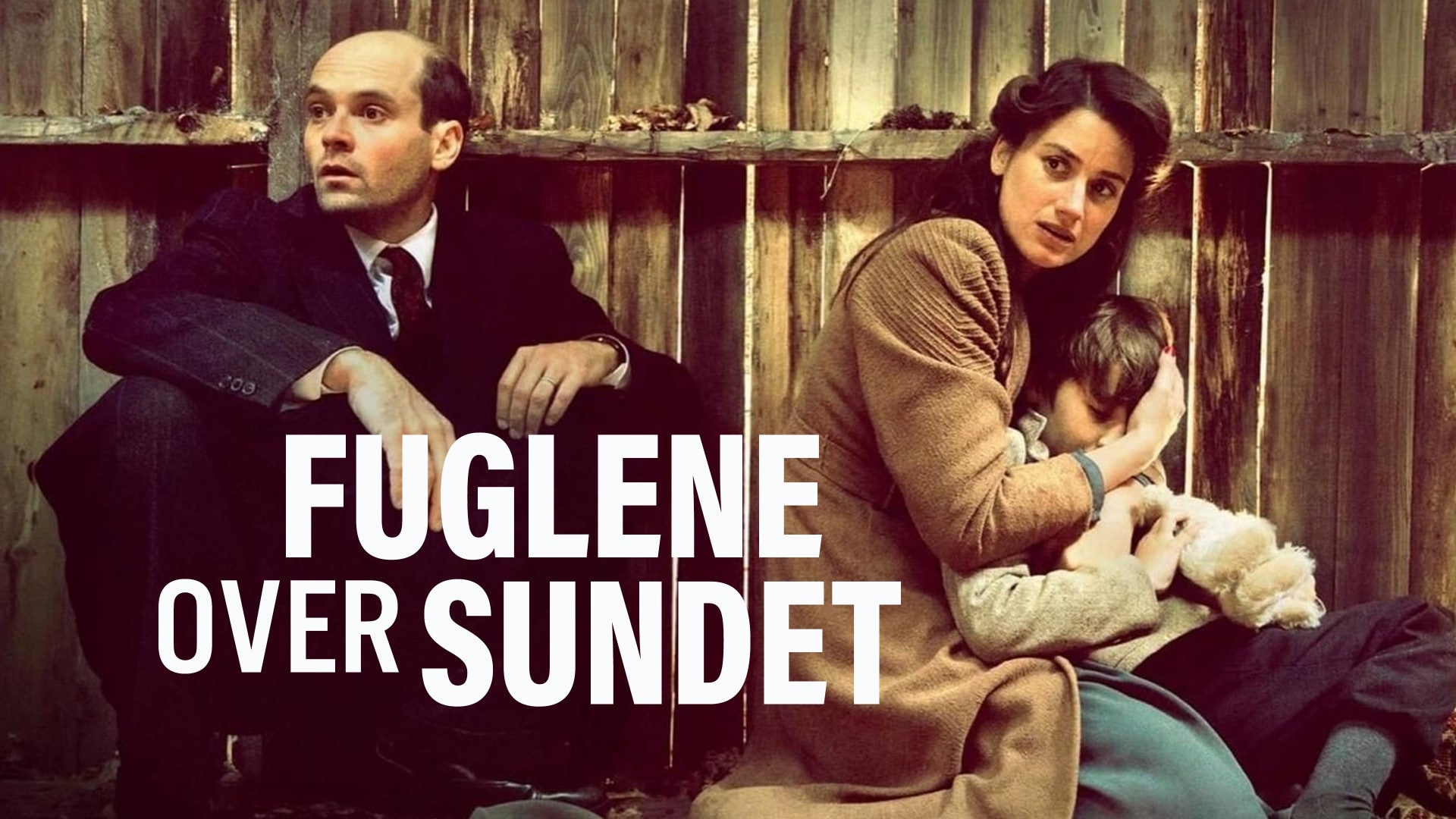 Fuglene over sundet - NRK TV