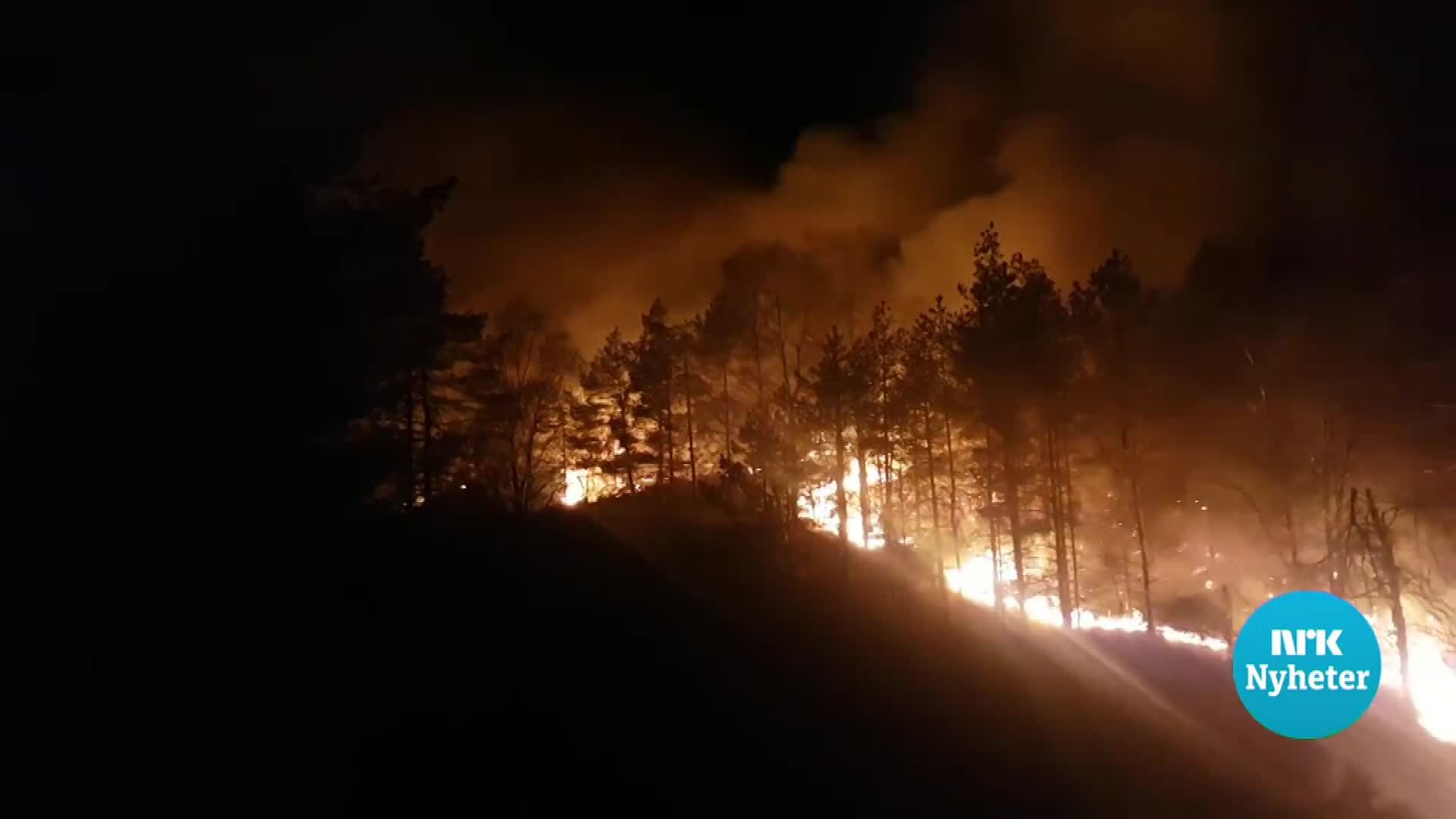 Filmet Brannen I Natt Nrk Sørlandet Lokale Nyheter Tv Og Radio