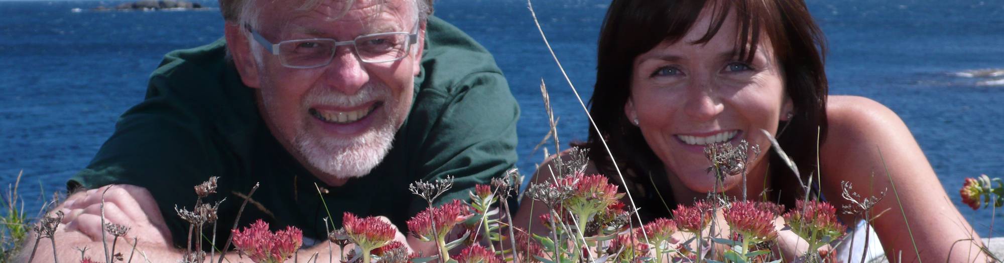 Strandplanter til begjær – NRK Nyttig – Tips, råd og innsikt