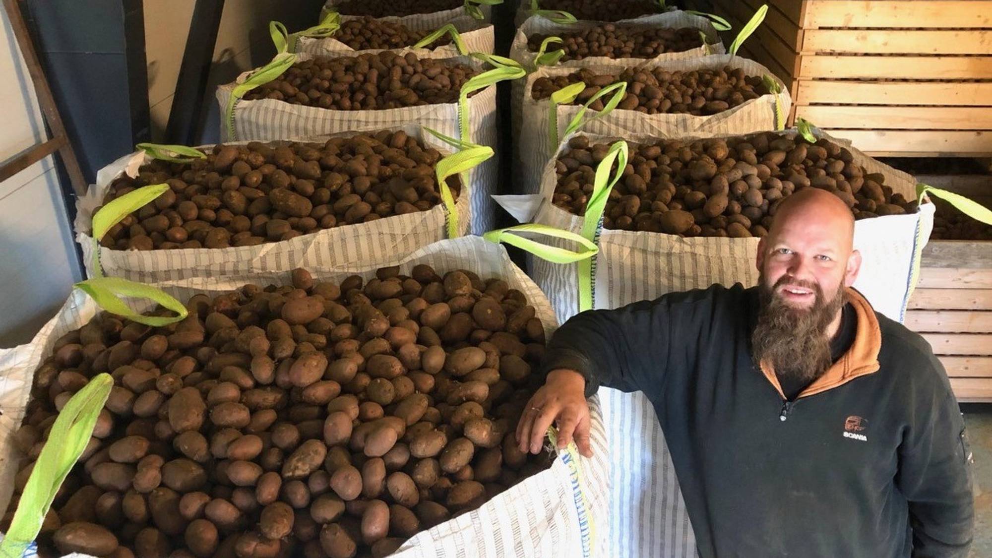 Fikk ikke selge 60 tonn poteter – da mobiliserte lokalbefolkningen ...