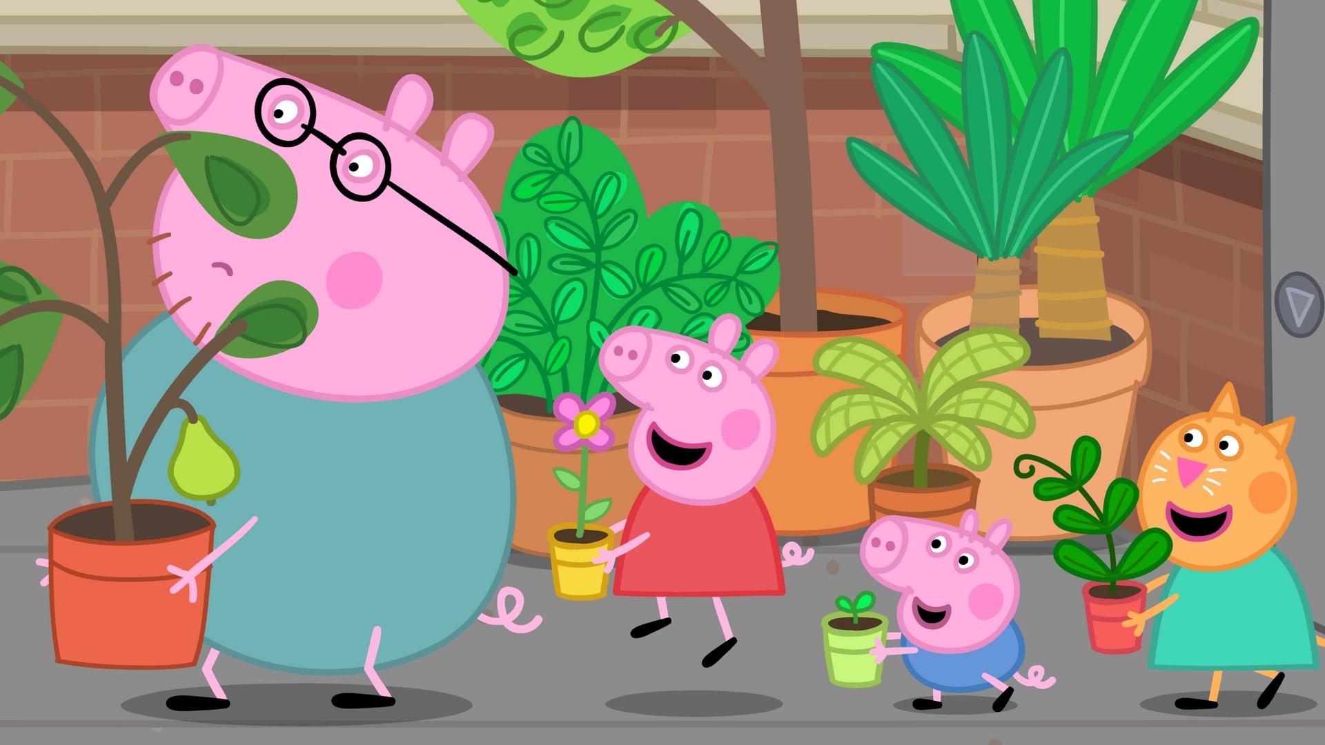 Peppa Gris - NRK TV