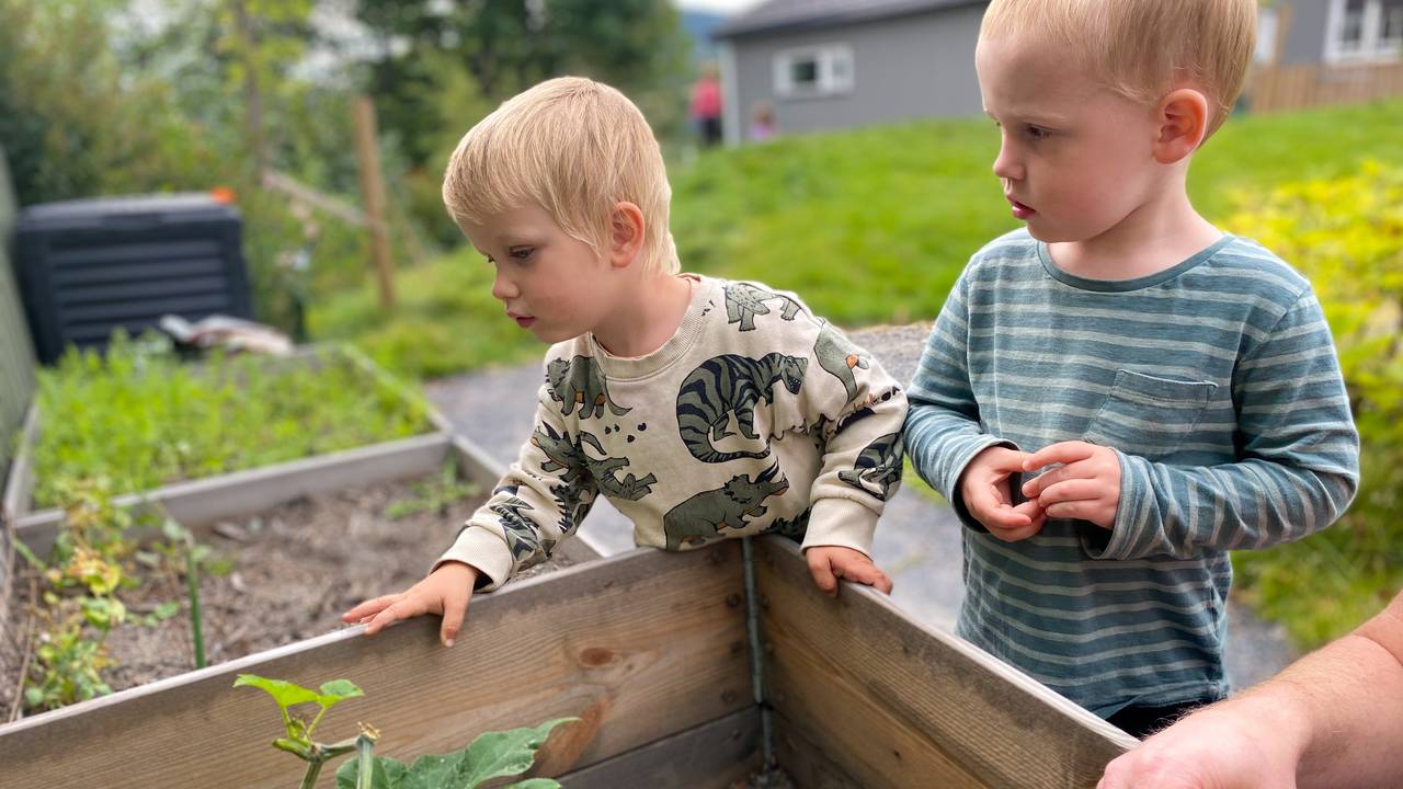 Å vokse opp på gummi – NRK Norge – Oversikt over nyheter fra ulike ...