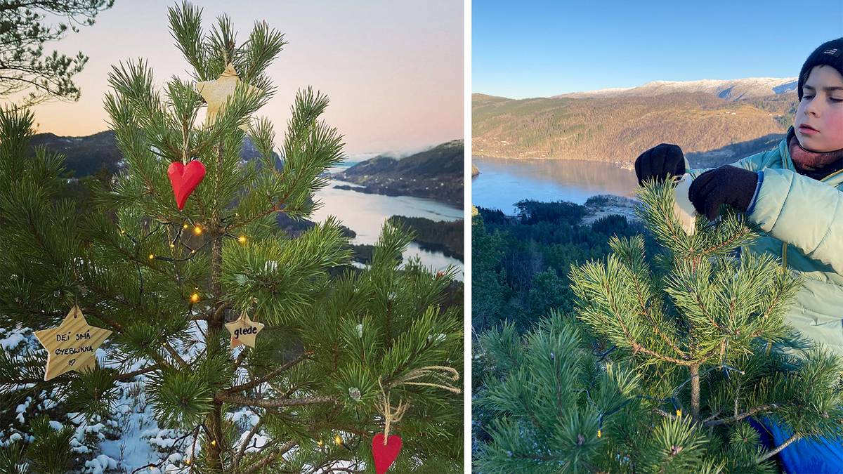 Ny trend: Nordmenn har byrja å pynta juletre – midt ute i skogen – NRK ...