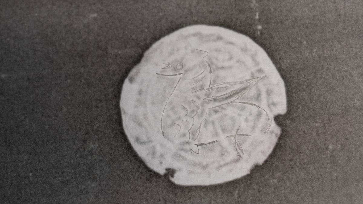 Hobbyarkeolog Morten Eek fann sølvmynt frå vikingkongen Magnus Berrføtt ...