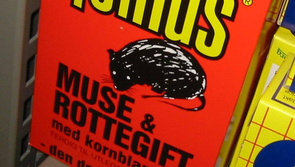 Toåringer spiste rottegift – NRK Nordland