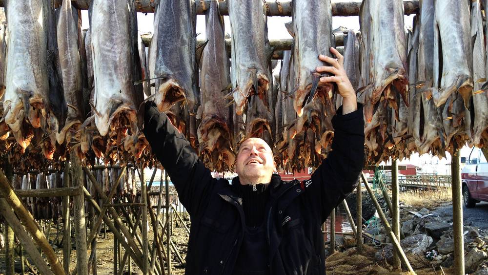 Tørrfisk opp i Champagne-klassen – NRK Nordland