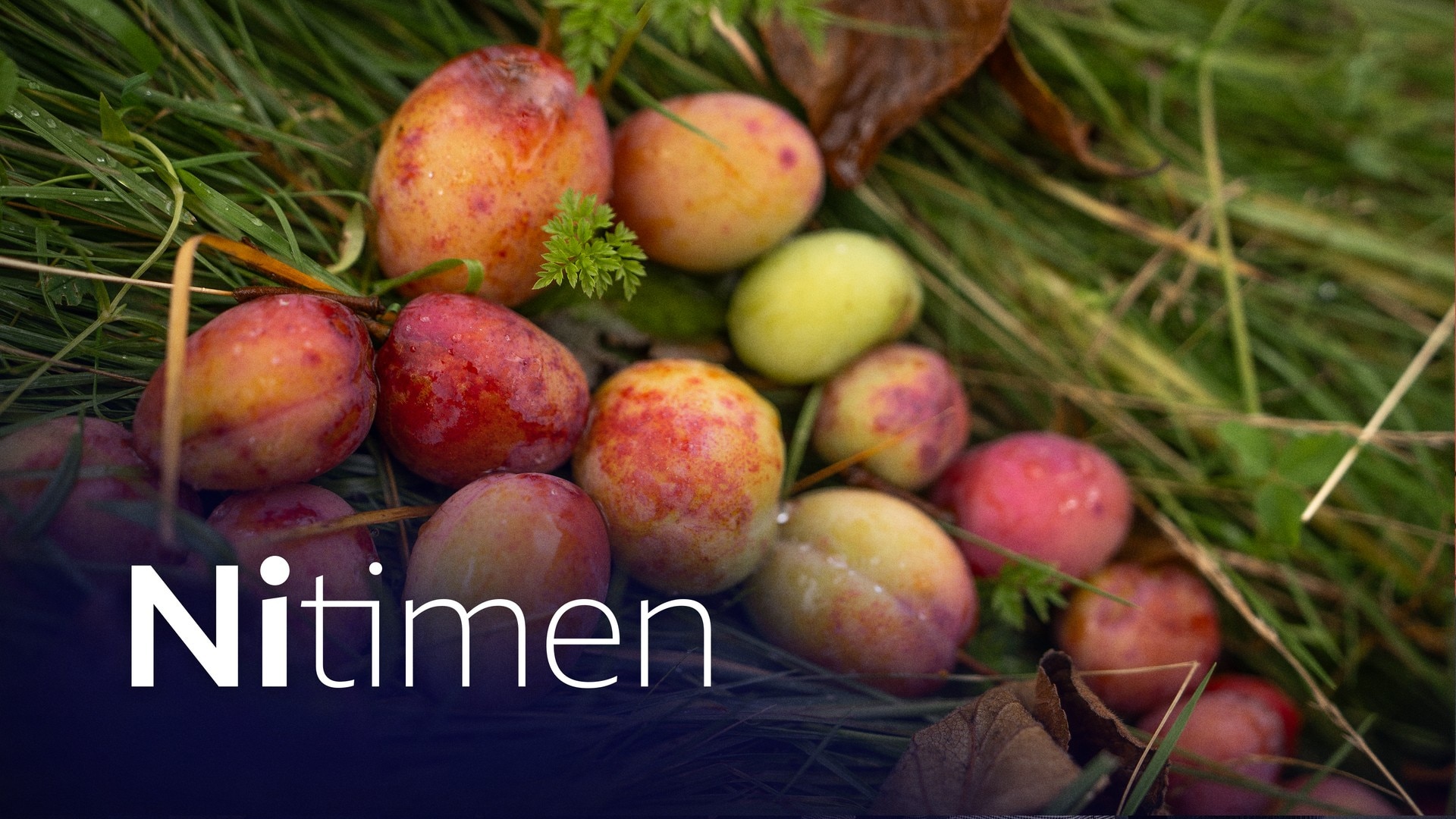 Nitimens "plomme-spesial" - Nitimen - NRK Radio