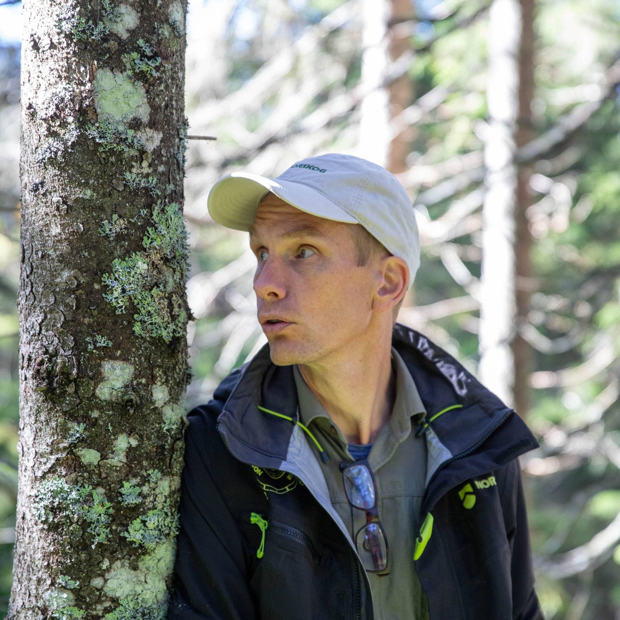 Krever ny innsynsløsning for alle hogstsøknader i Marka – Norge