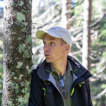 Krever ny innsynsløsning for alle hogstsøknader i Marka – Norge