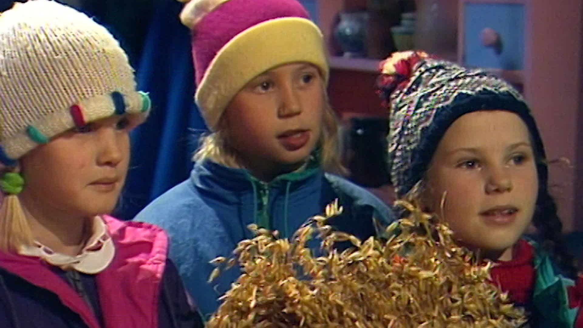 Portveiens julekalender - NRK TV