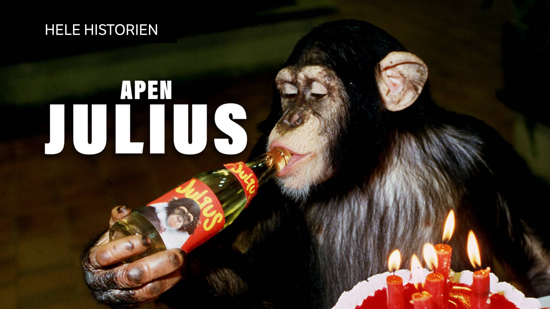 Apen Julius (1:2) - Hele historien - NRK Radio