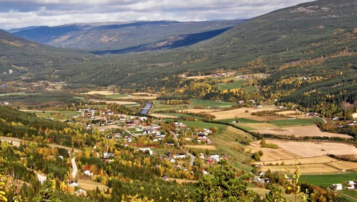 Rendalen er forskernes Mekka – NRK Innlandet – Lokale nyheter, TV og radio