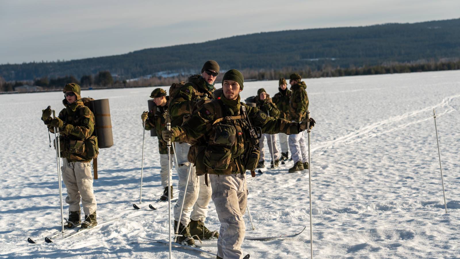 Jobber for at nedlagte Haslemoen militærleir skal gjenoppstå – NRK ...