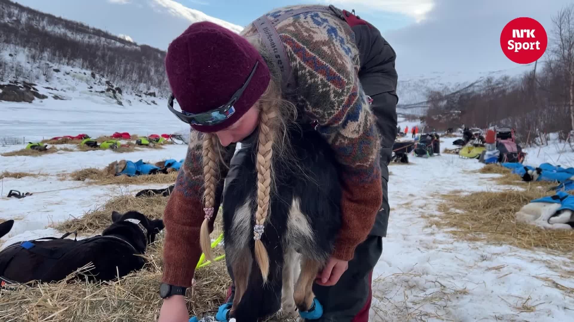 Hanna Lyrek bekymret for om hundene tåler varmen – NRK