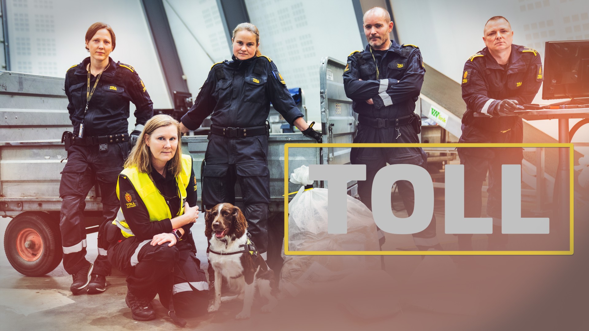 TV2 Toll – Toll – NRK TV