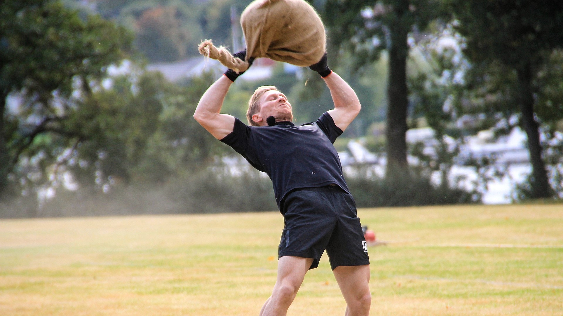 Mesternes mester - NRK TV