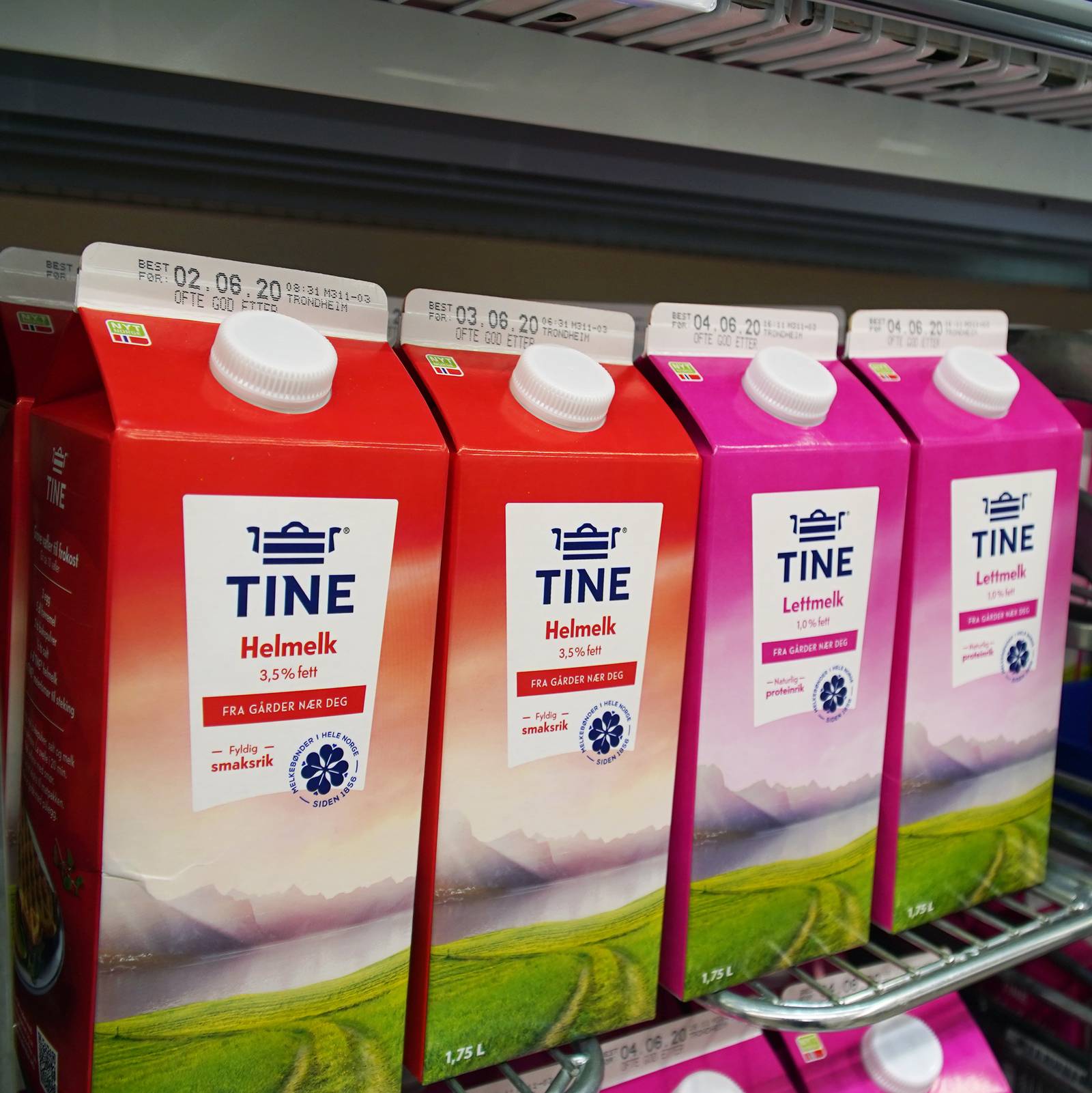 Ny forskning: Mindre helsefare med helmelk – NRK Viten – Nyheter innen ...