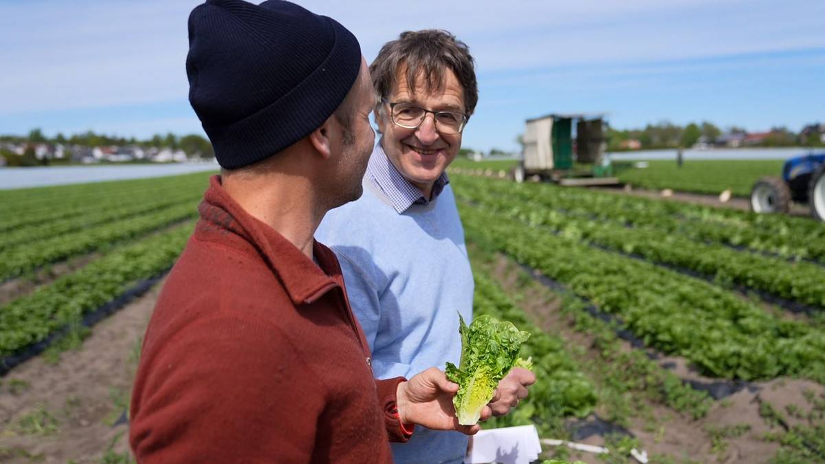 Nå kan det lønne seg å velge norske grønnsaker: - Prisutviklingen i ...