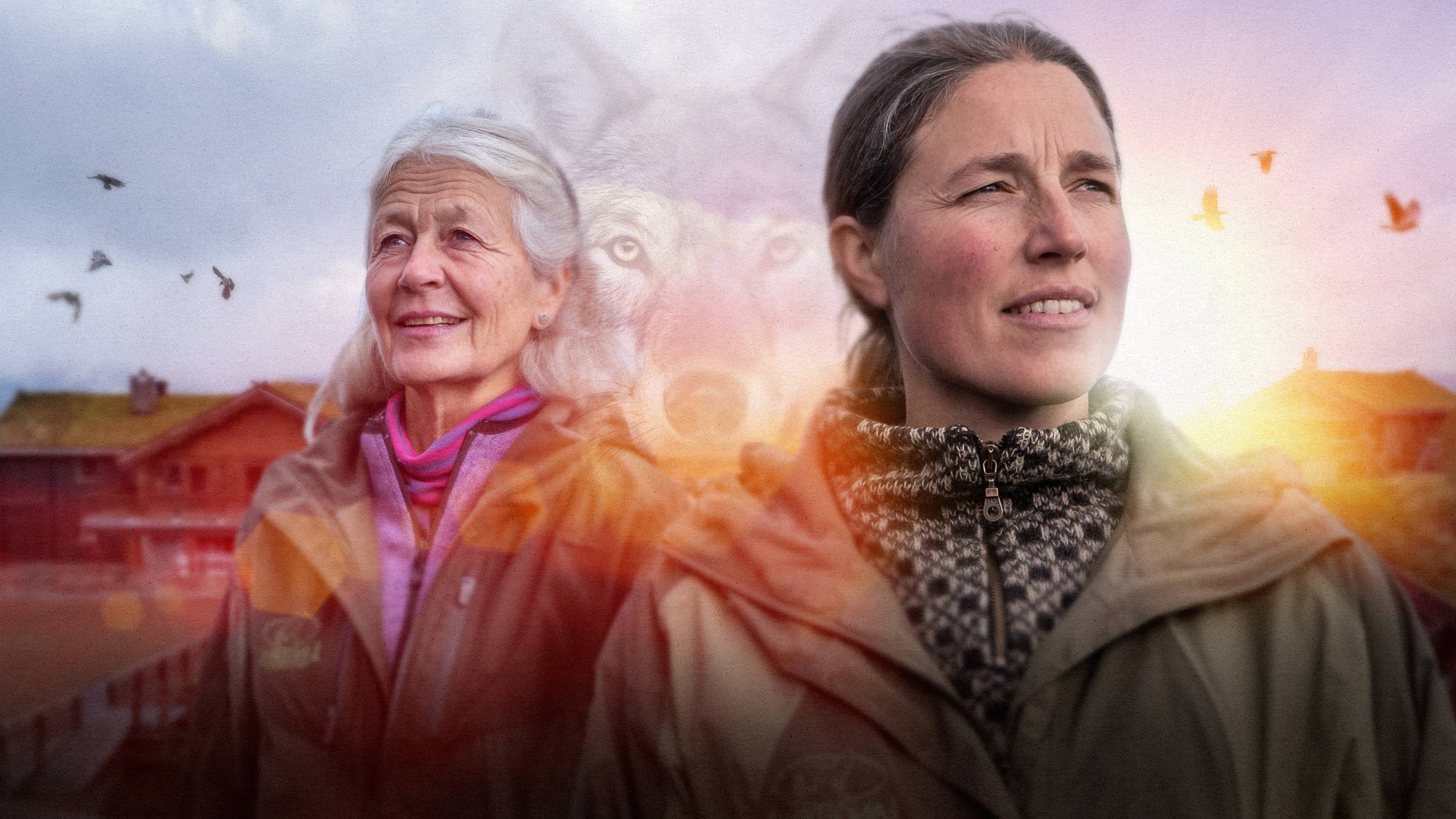 Ny NRK-serie fra Langedrag – Programomtaler