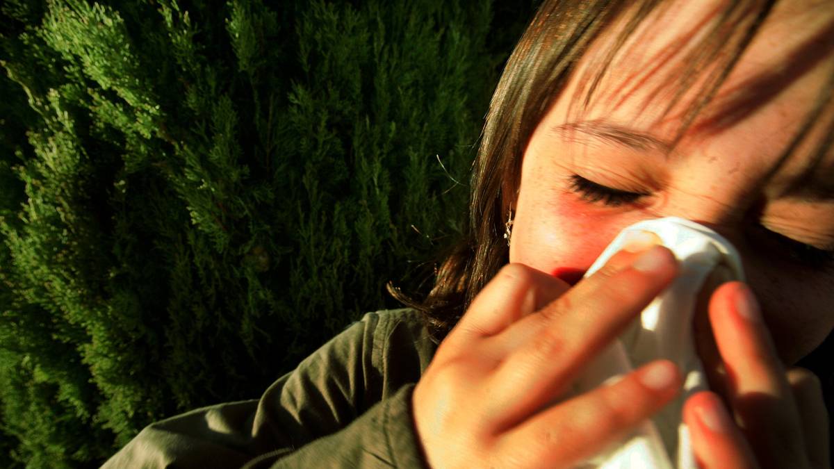 Bybarn får oftere allergi – Stor-Oslo