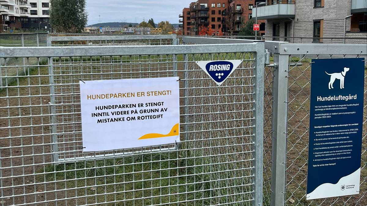 Har ikke funnet rottegift i hundeparker som ble stengt – Stor-Oslo