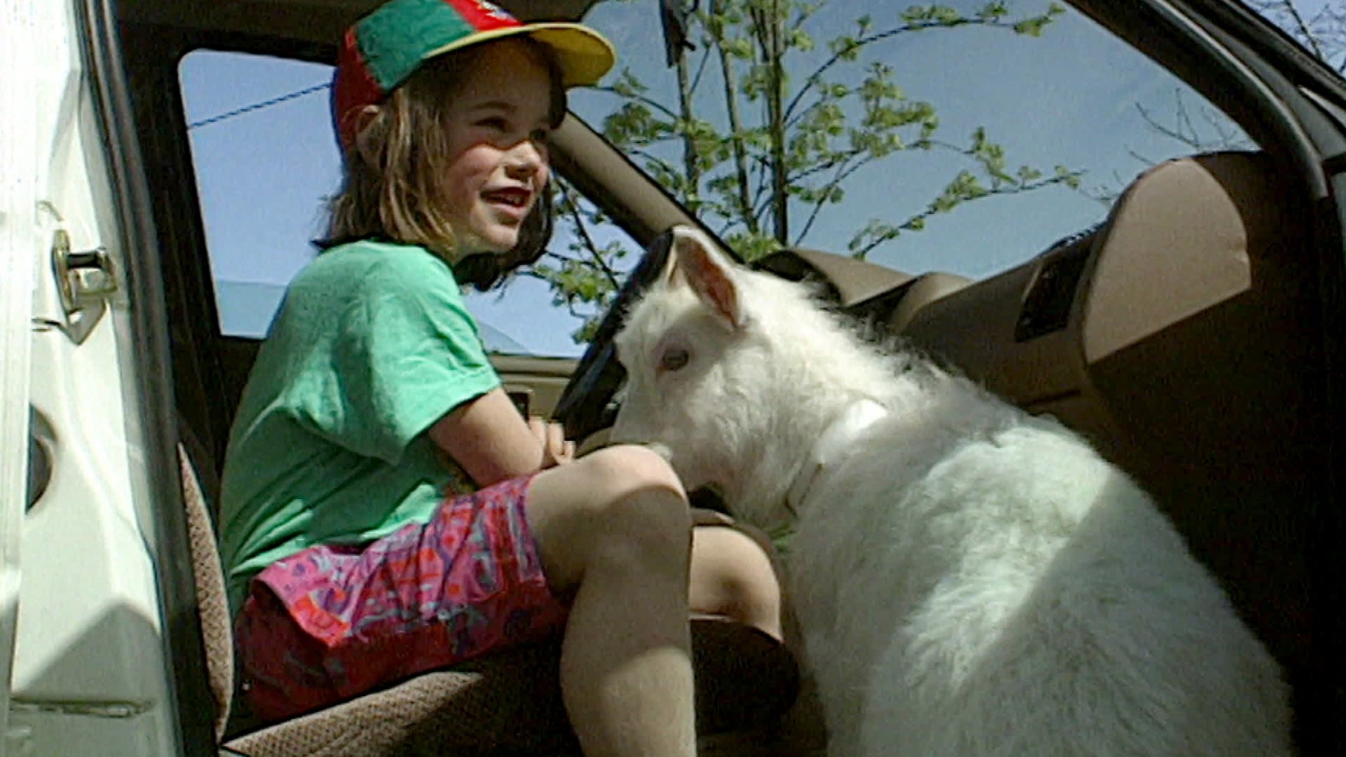 Gaute og Gullit - NRK TV