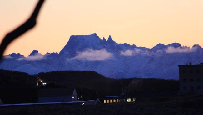Nordnorsk julesalme var borte i mange år før den ble gjenoppdaget – NRK ...