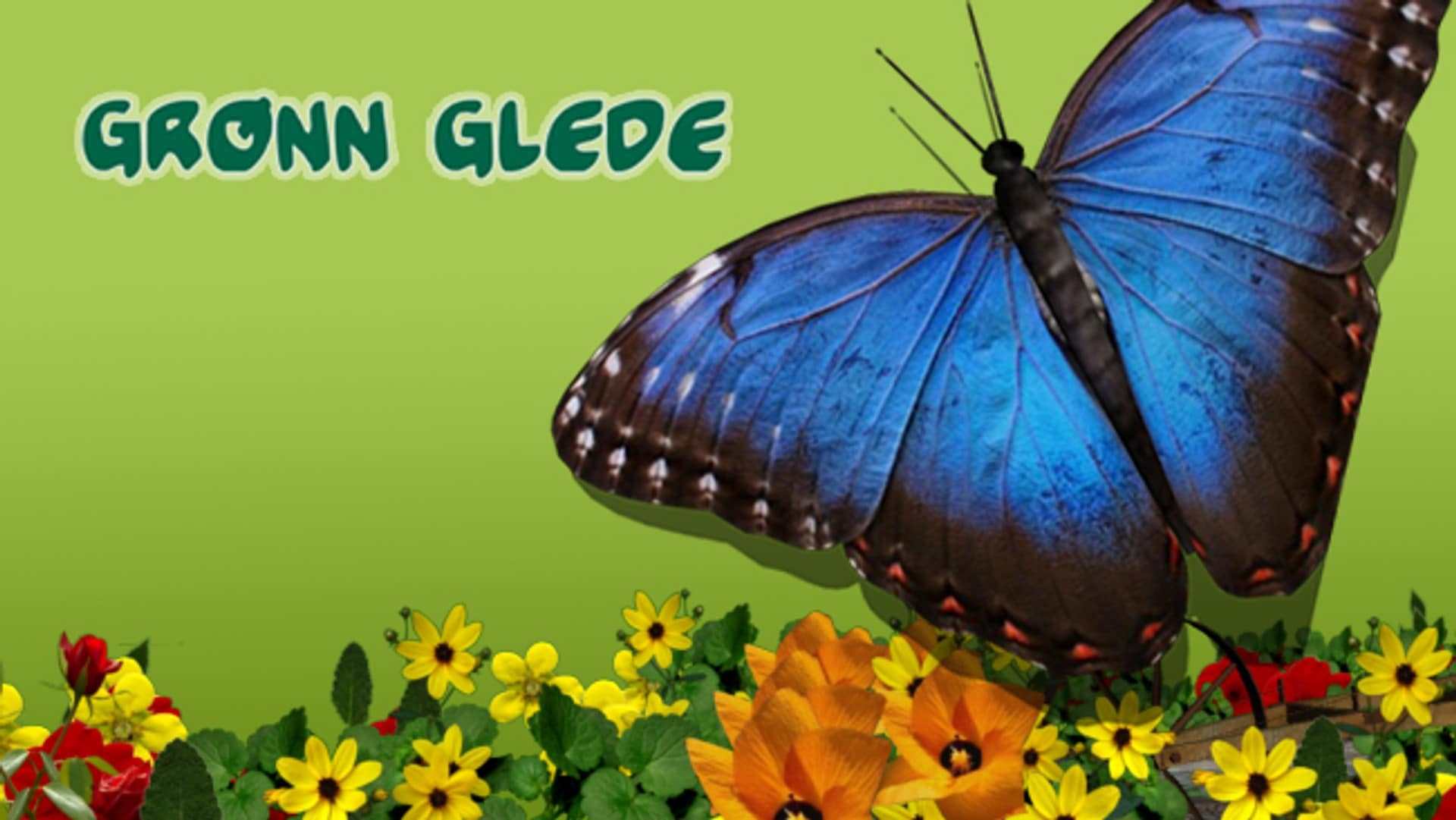 Grønn glede – NRK TV